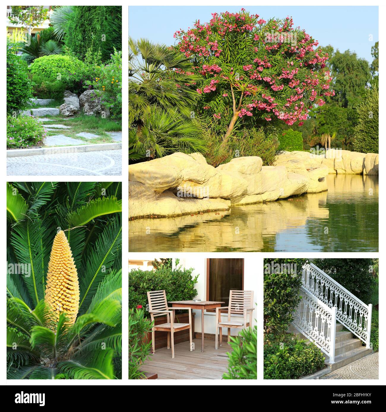 Collage of beautiful nature landscaping Stock Photo - Alamy