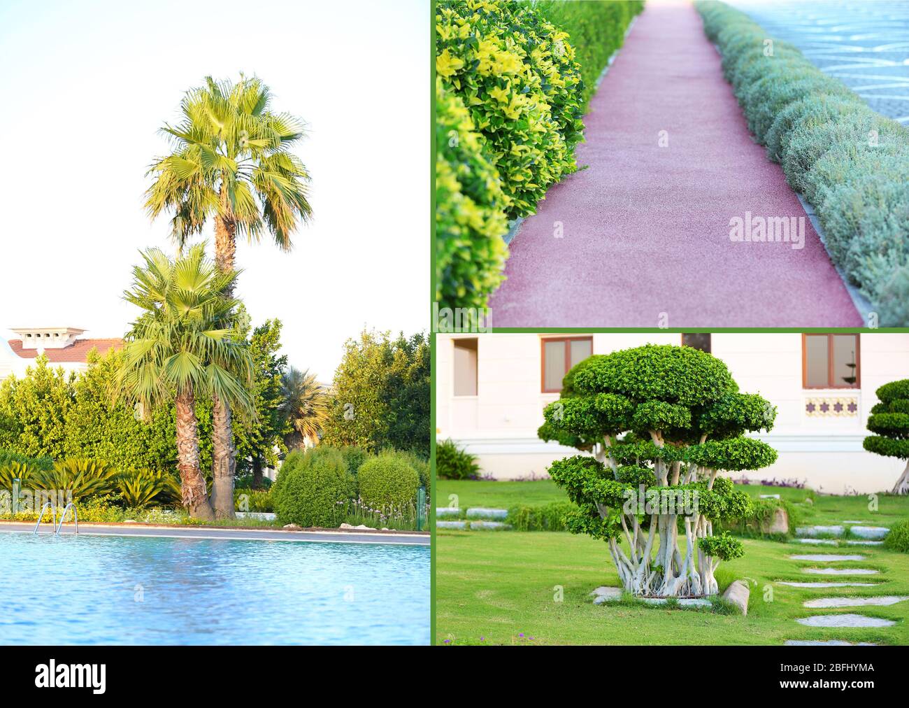 Collage of beautiful nature landscaping Stock Photo - Alamy
