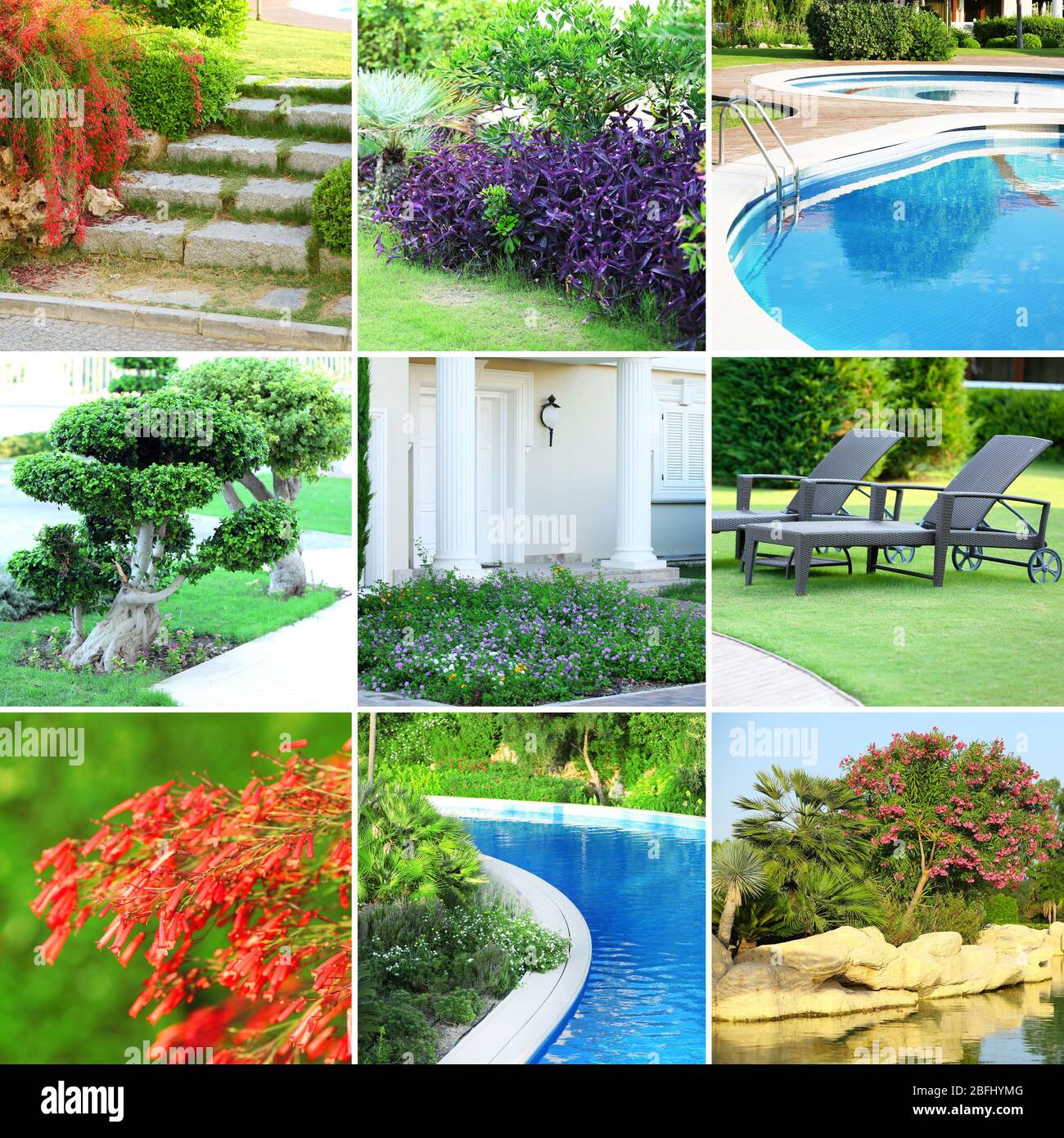 Collage of beautiful nature landscaping Stock Photo - Alamy