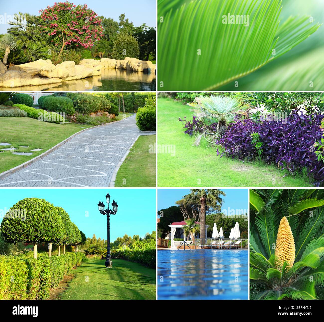 Collage of beautiful nature landscaping Stock Photo - Alamy