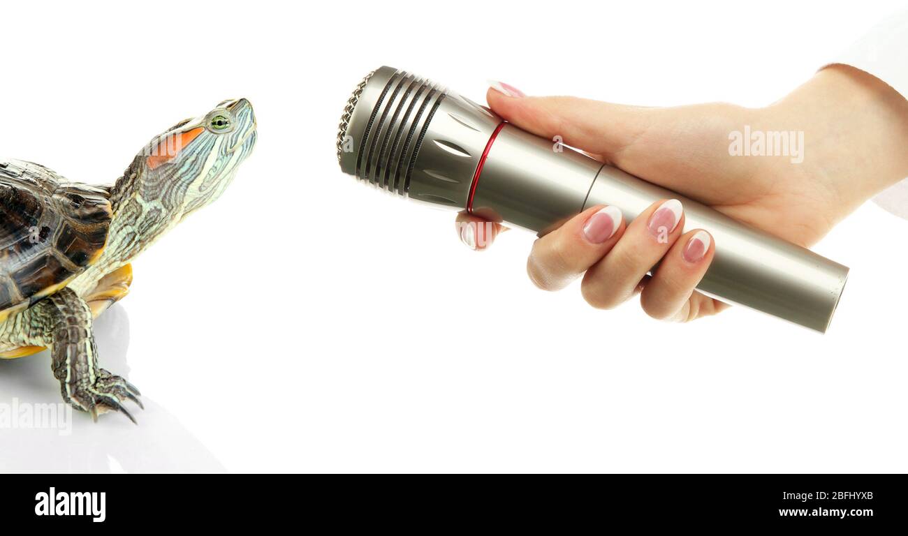 Microphone shield hi-res stock photography and images - Alamy