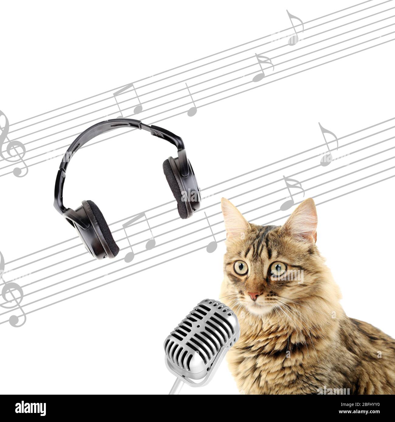 Beautiful cat with headphones, microphone and notes Stock Photo - Alamy