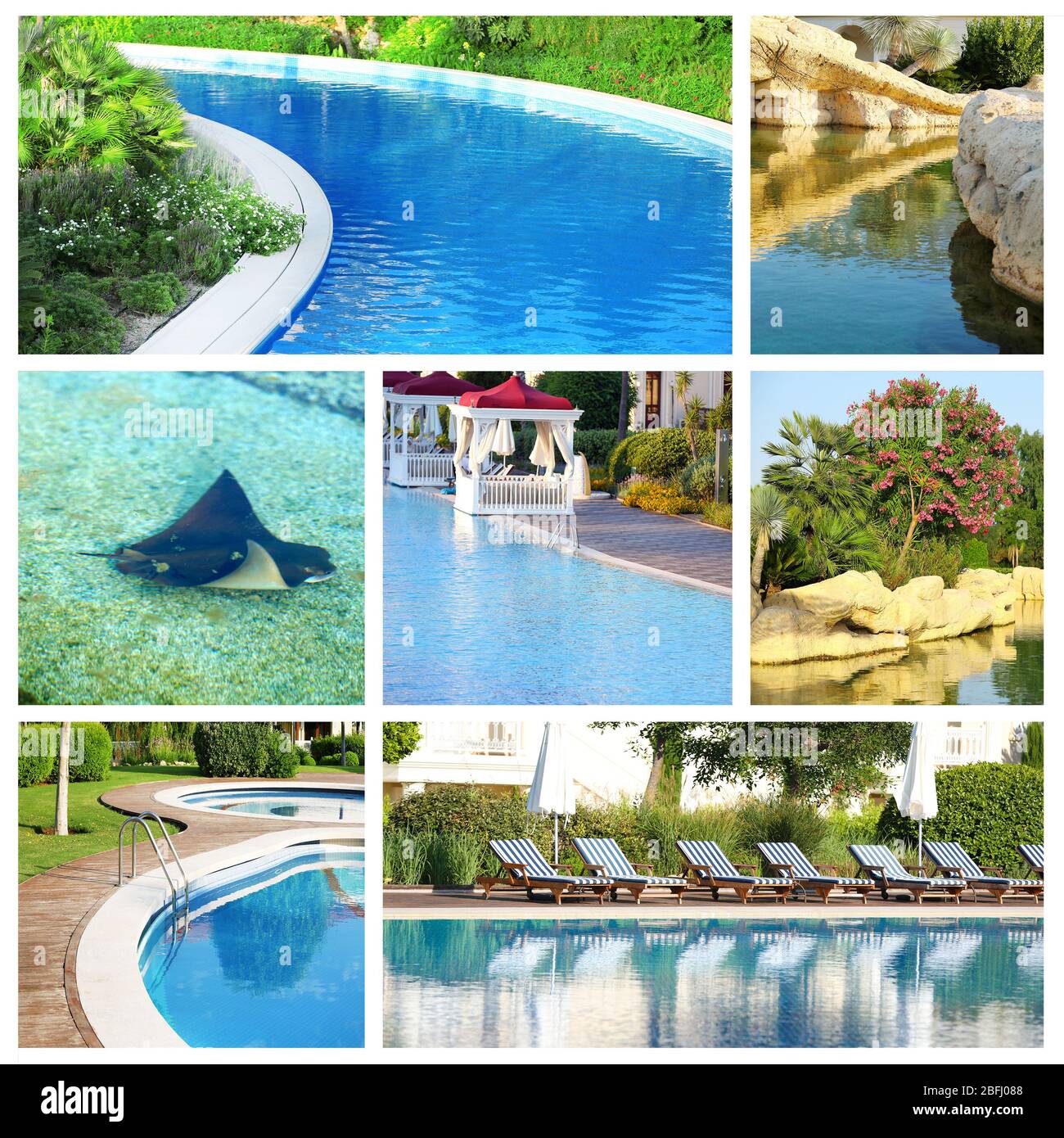 Collage of beautiful nature landscaping Stock Photo - Alamy