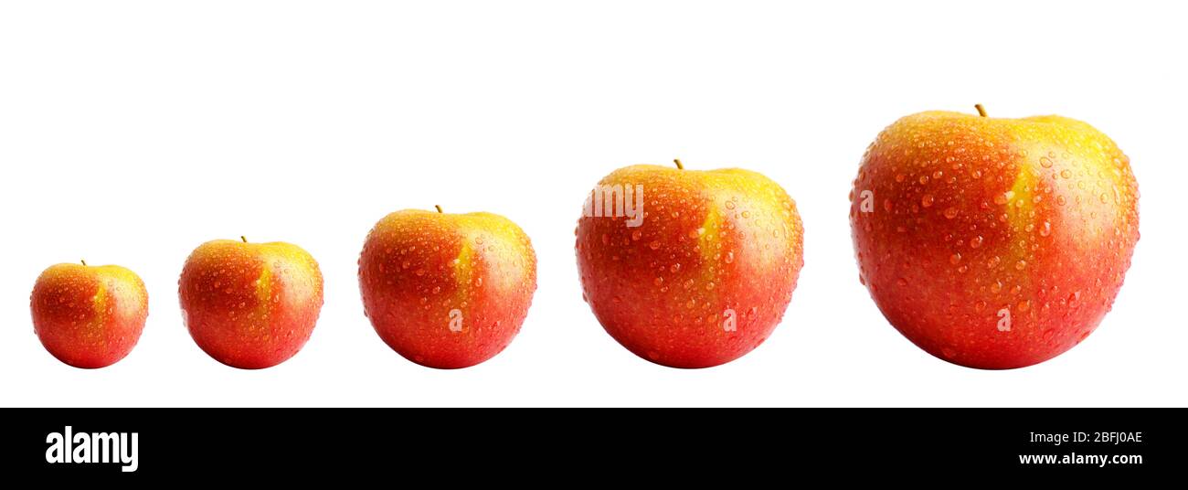 Evolution concept.Fresh red apples, isolated on white Stock Photo - Alamy