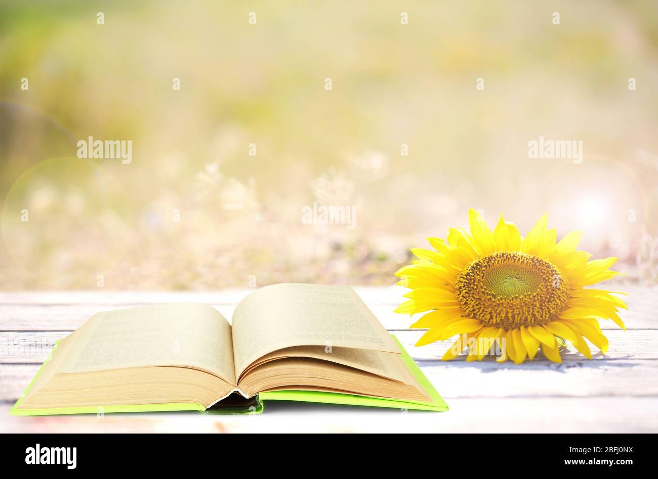 Open book with sunflower on table outdoors Stock Photo - Alamy