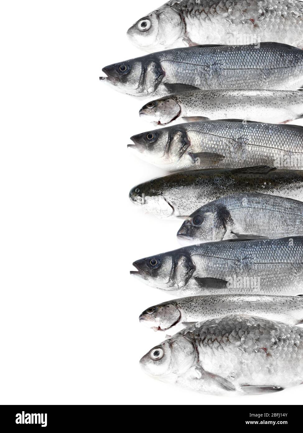 Fresh fish isolated on white Stock Photo - Alamy