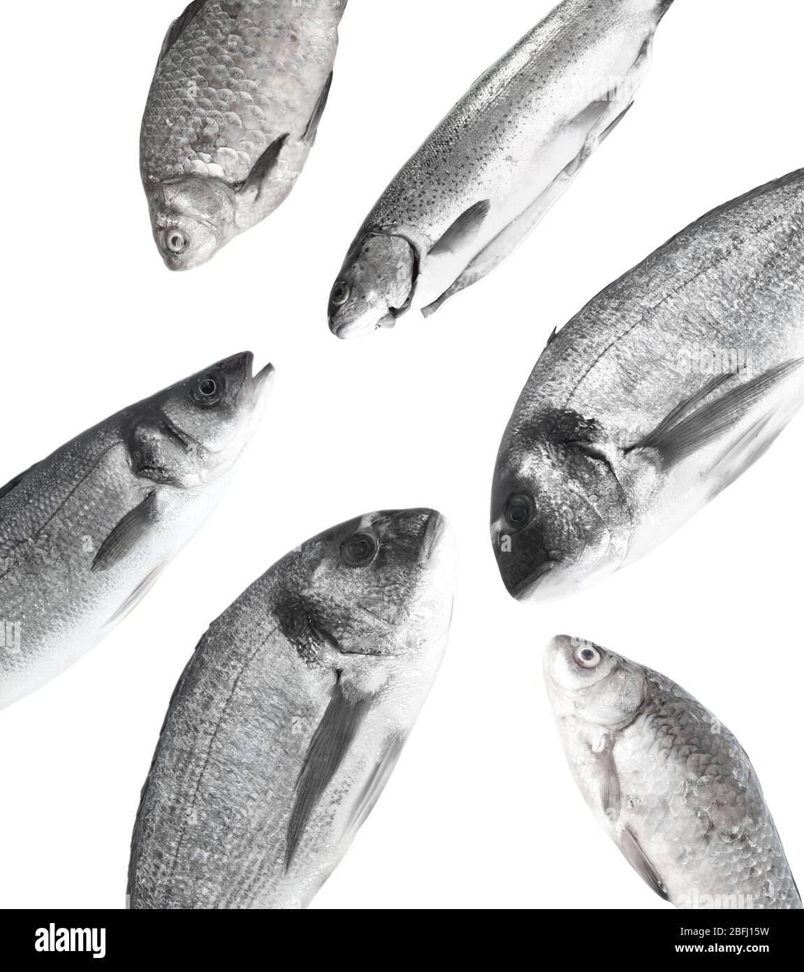 Fresh fish isolated on white Stock Photo - Alamy