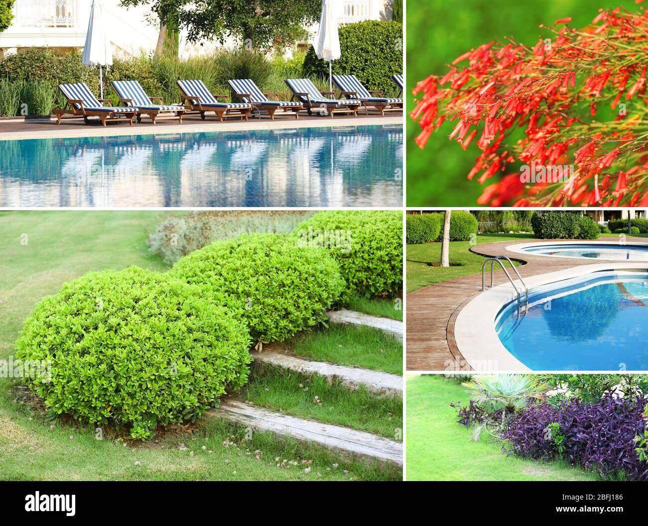 Collage of beautiful nature landscaping Stock Photo - Alamy