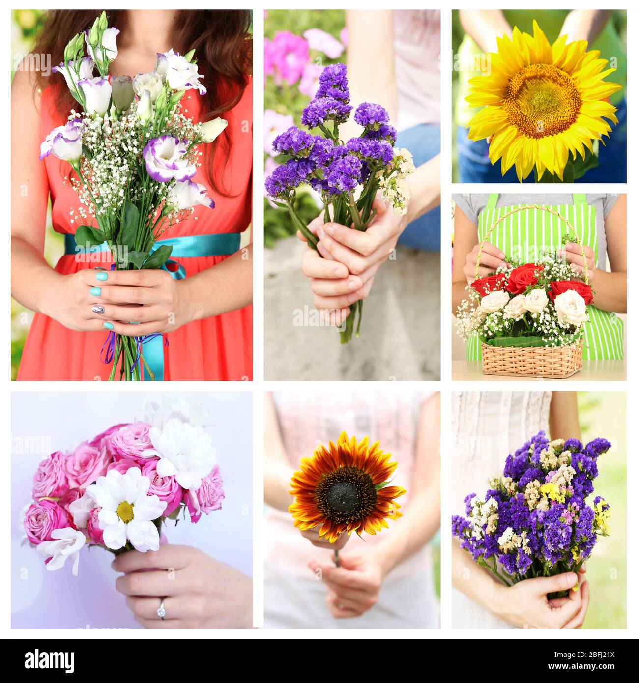 Beautiful flowers collage Stock Photo - Alamy