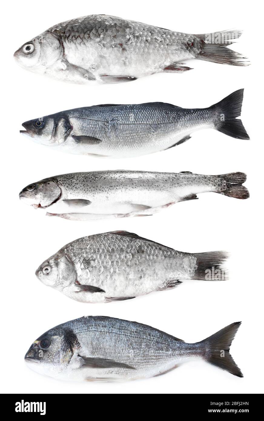 Fresh fish isolated on white Stock Photo - Alamy
