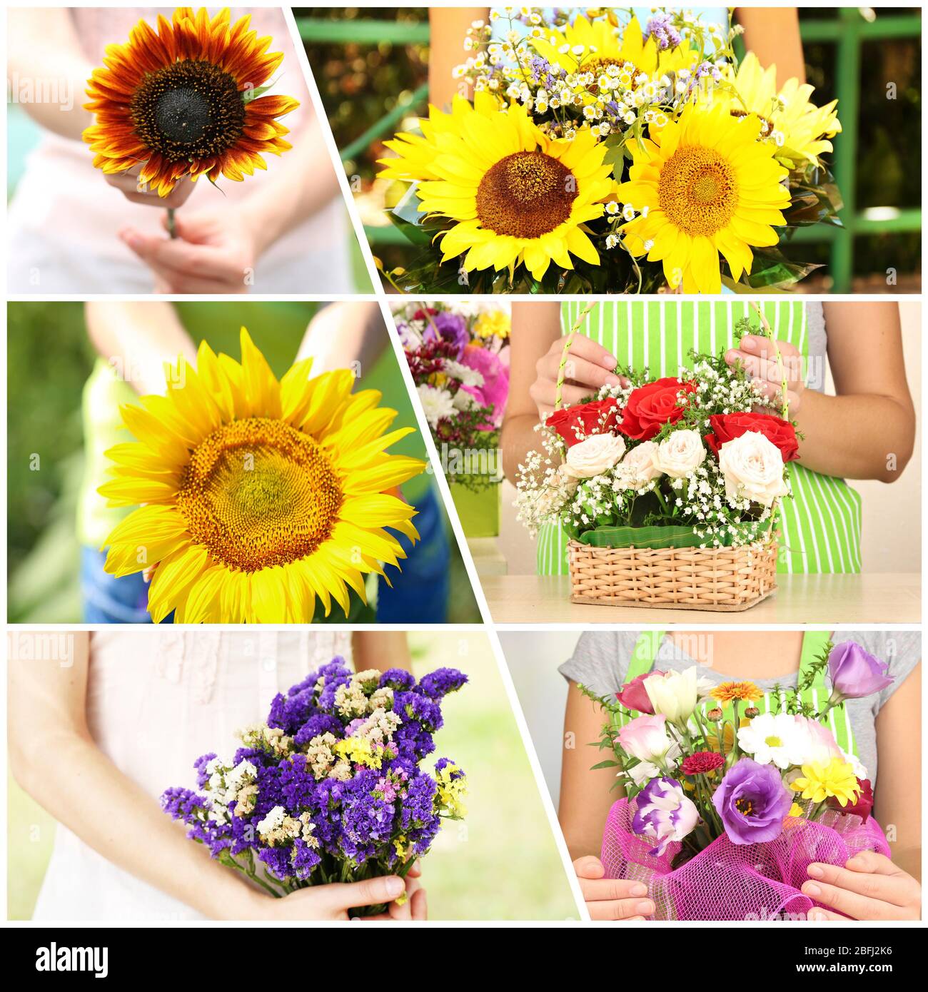 Beautiful flowers collage Stock Photo - Alamy