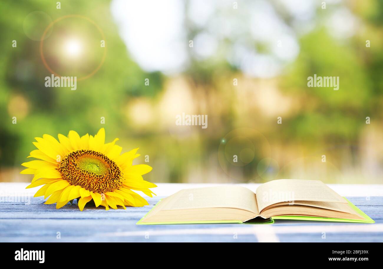 Open book with sunflower on table outdoors Stock Photo - Alamy