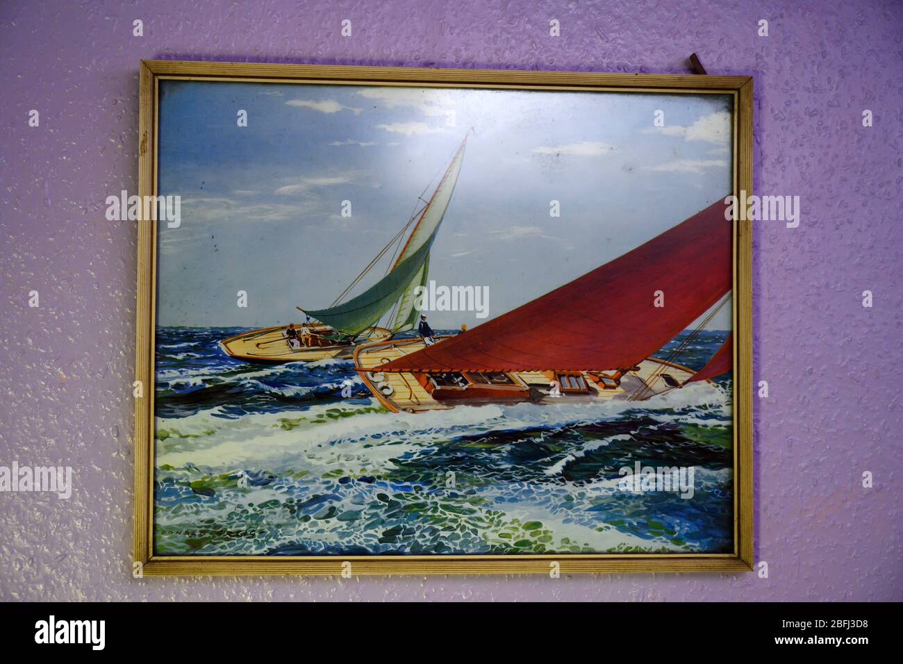 Donald greig hi-res stock photography and images - Alamy