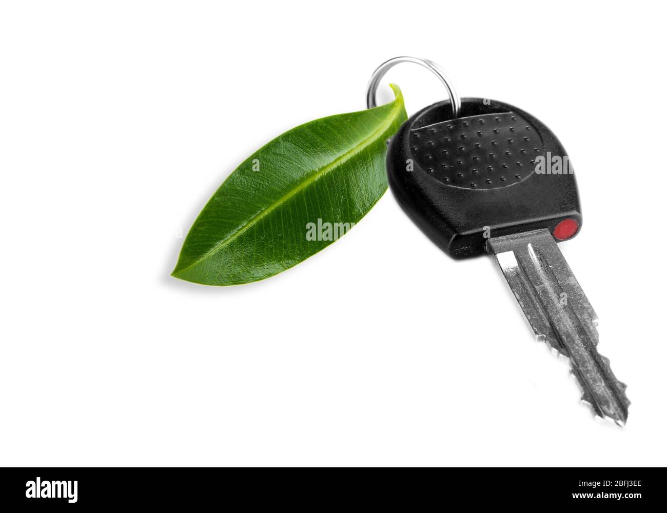Car key with green leaf trinket isolated on white Stock Photo - Alamy