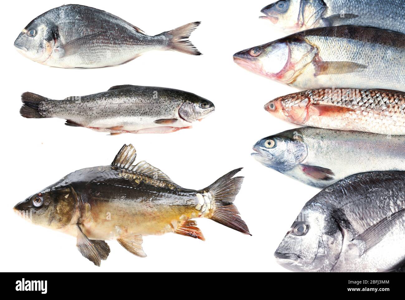 Fresh fish isolated on white Stock Photo - Alamy