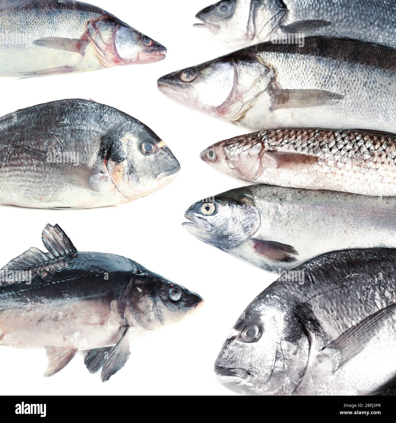 Fresh fish isolated on white Stock Photo - Alamy