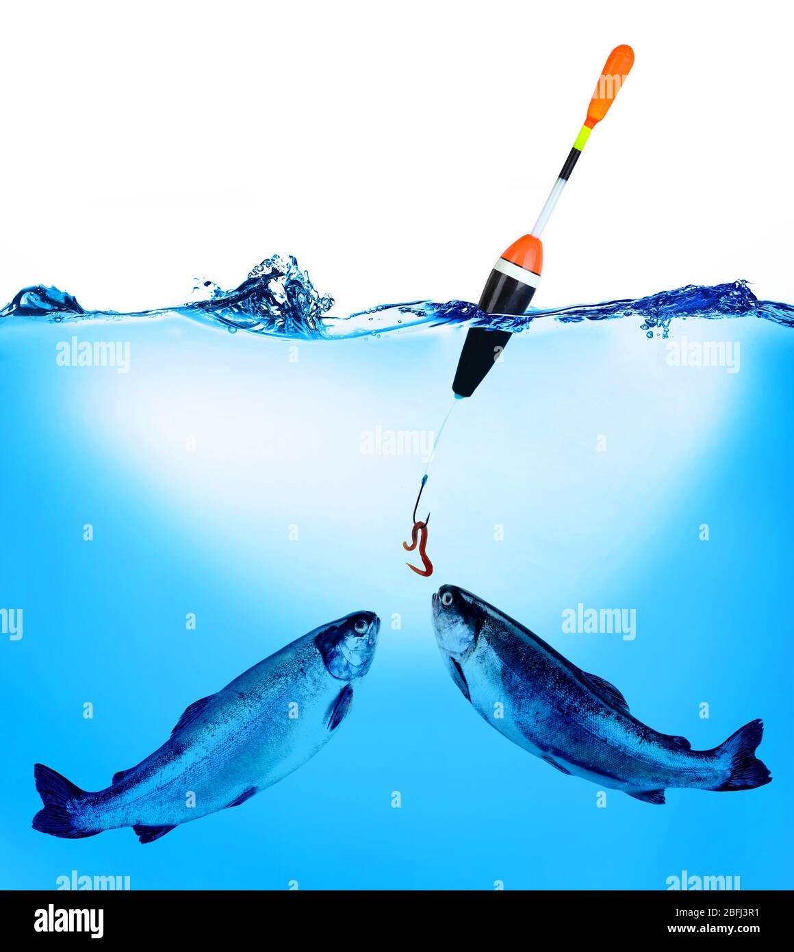 Fishing Hook In Water