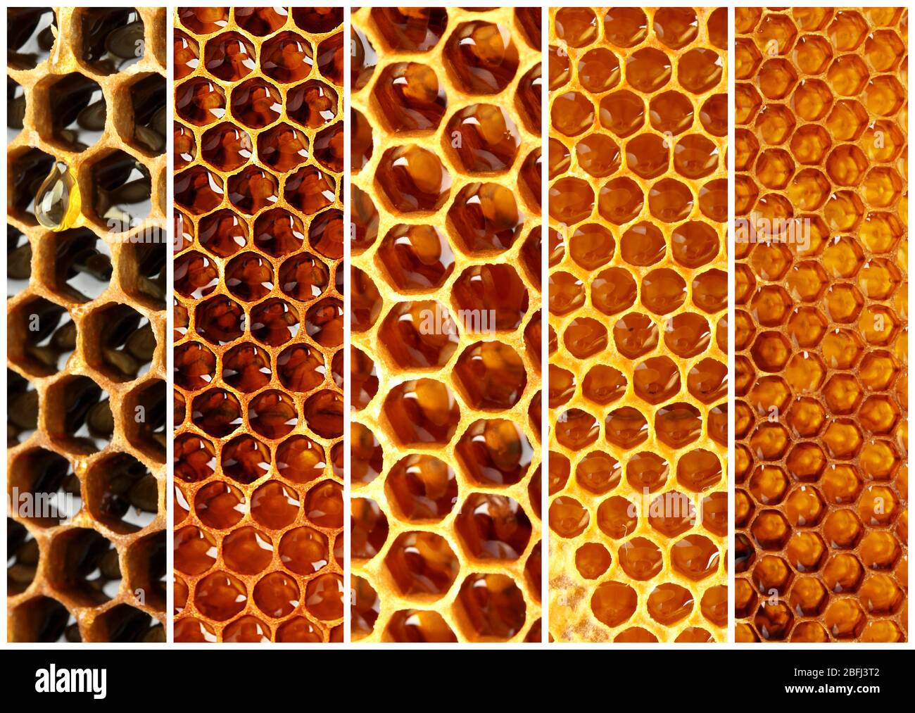 Symmetry collage Cut Out Stock Images & Pictures - Alamy