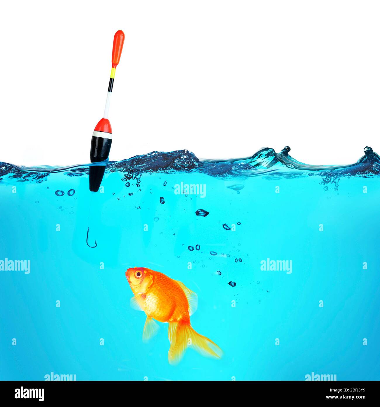Fishing a goldfish, isolated on white Stock Photo - Alamy
