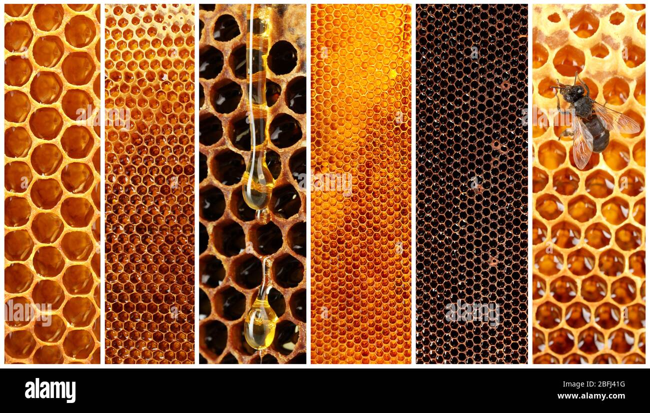Honeycomb work Cut Out Stock Images & Pictures - Alamy