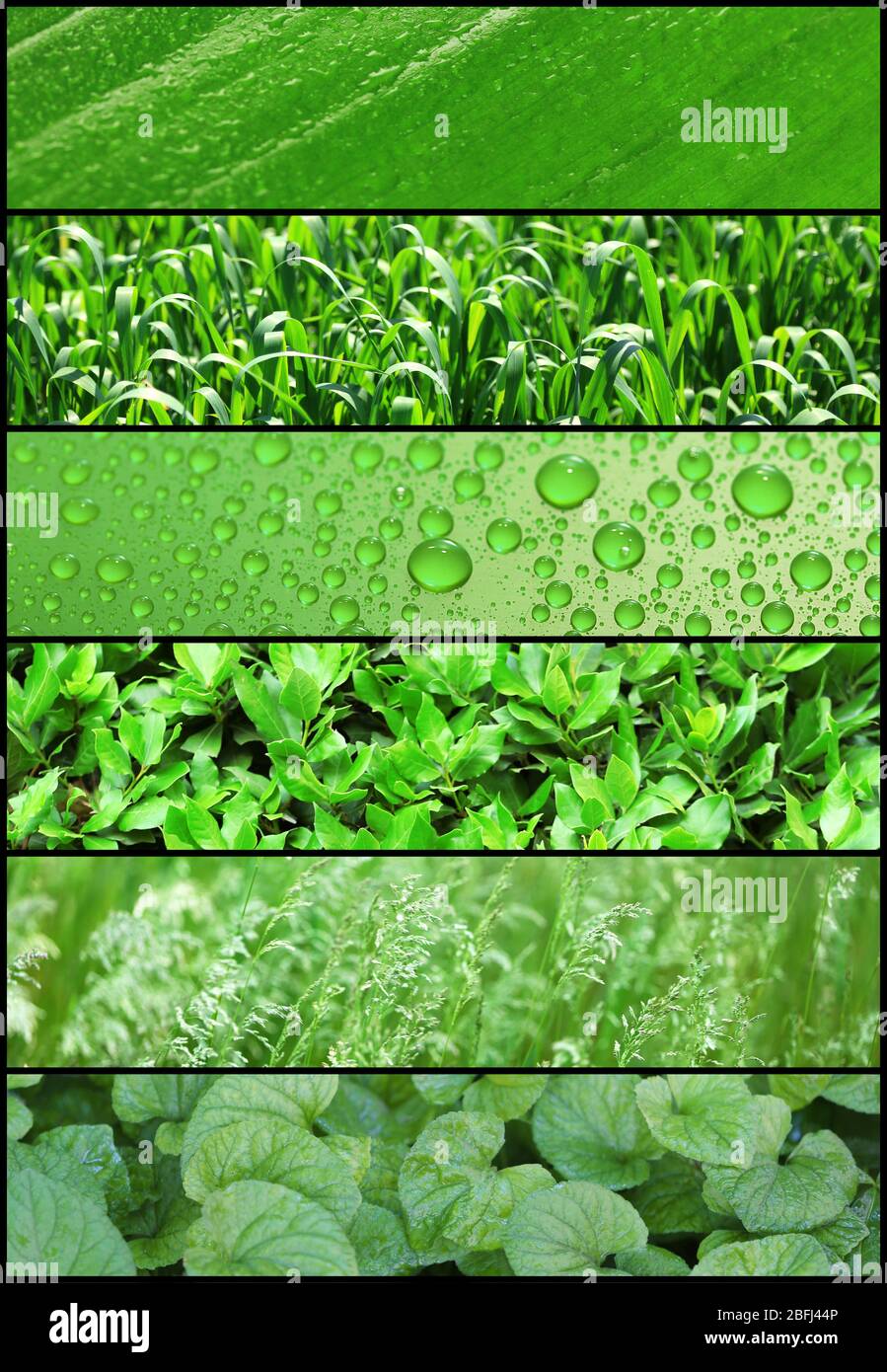 Green color samples collage Stock Photo - Alamy
