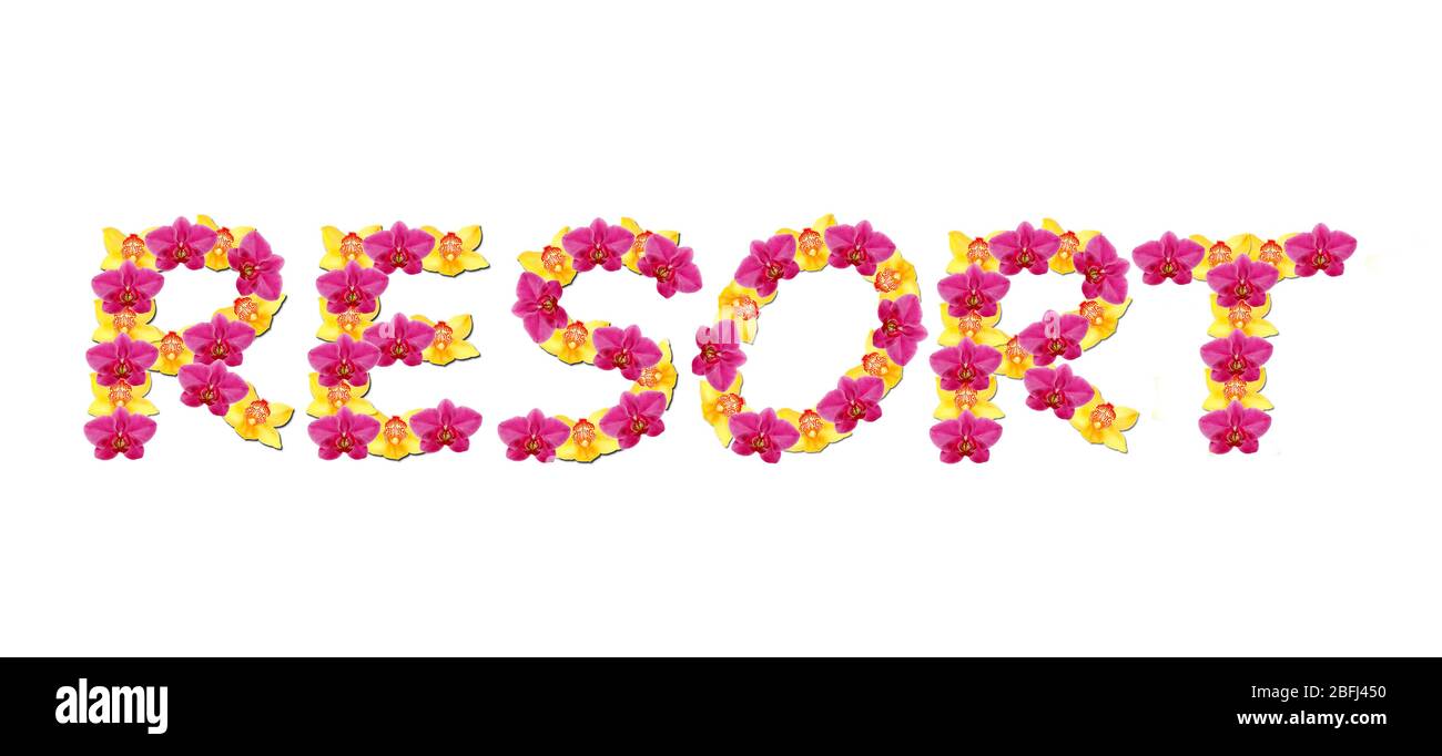 Spelt flower hi-res stock photography and images - Alamy