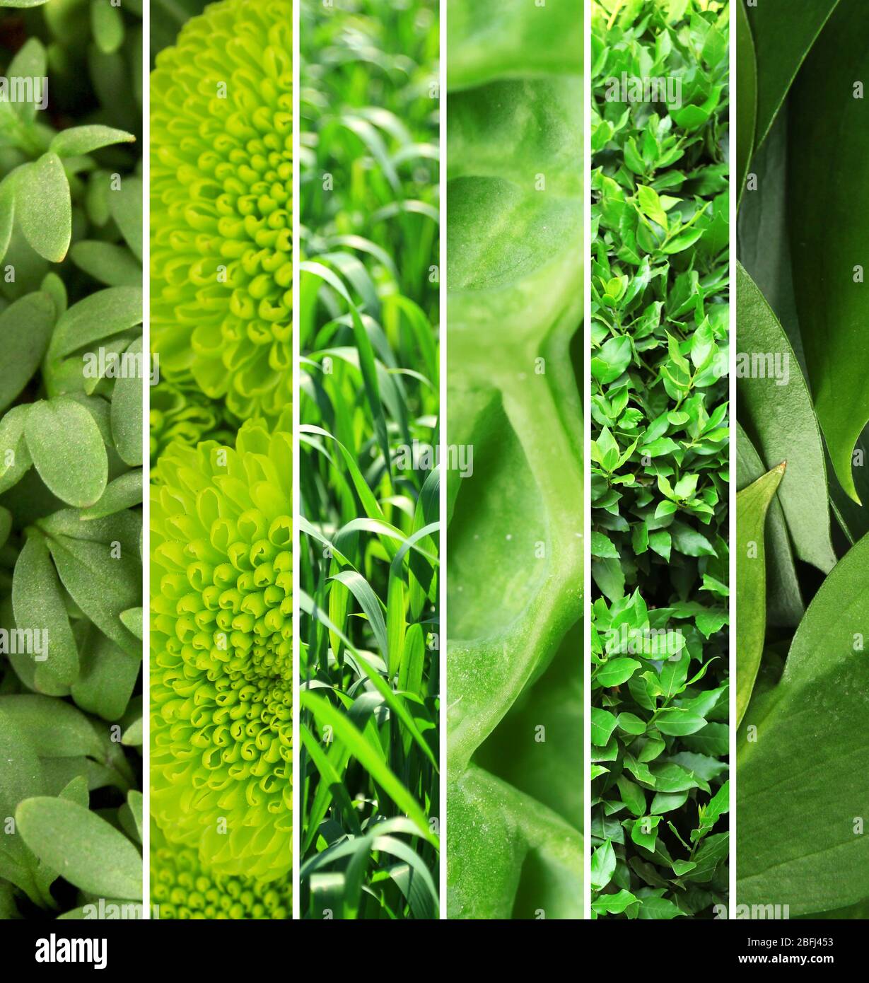 Green color samples collage Stock Photo - Alamy