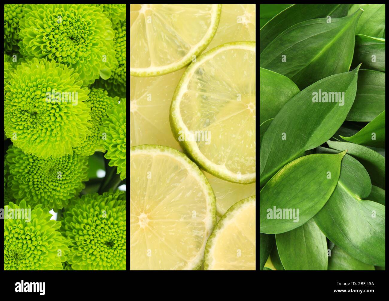 Green color samples collage Stock Photo - Alamy