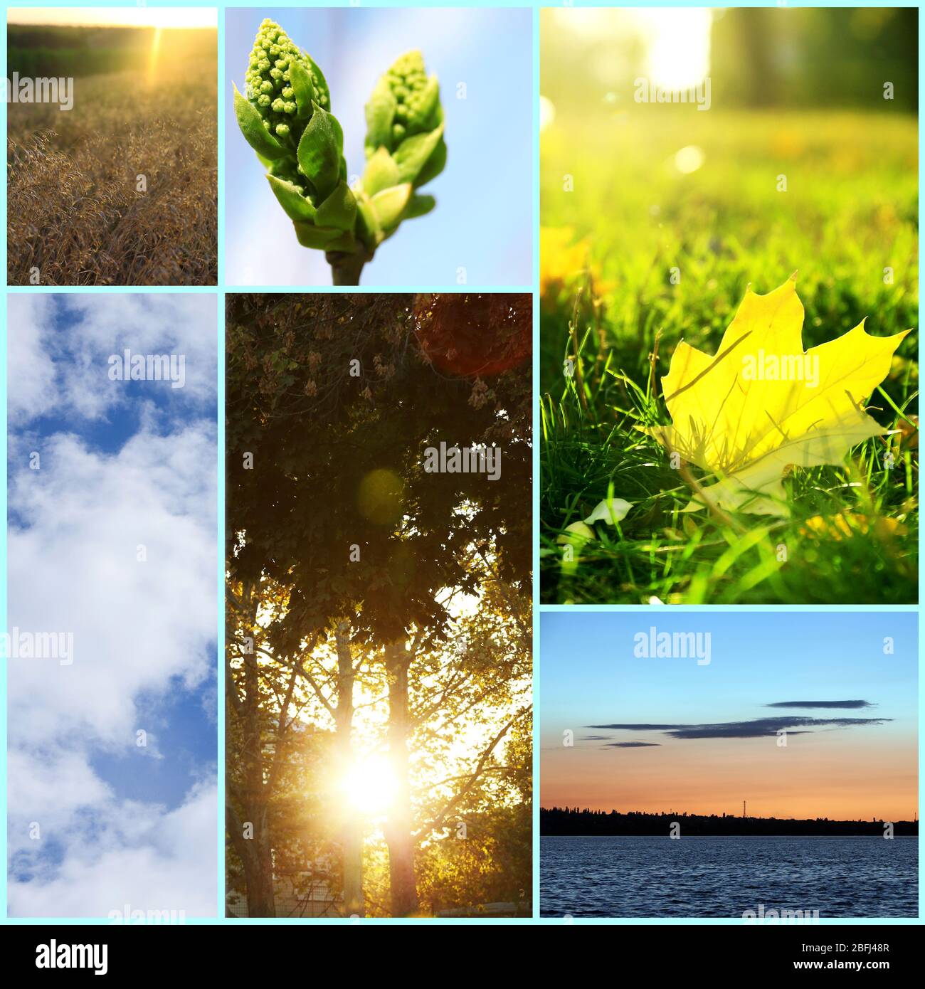 Beautiful nature collage Stock Photo - Alamy