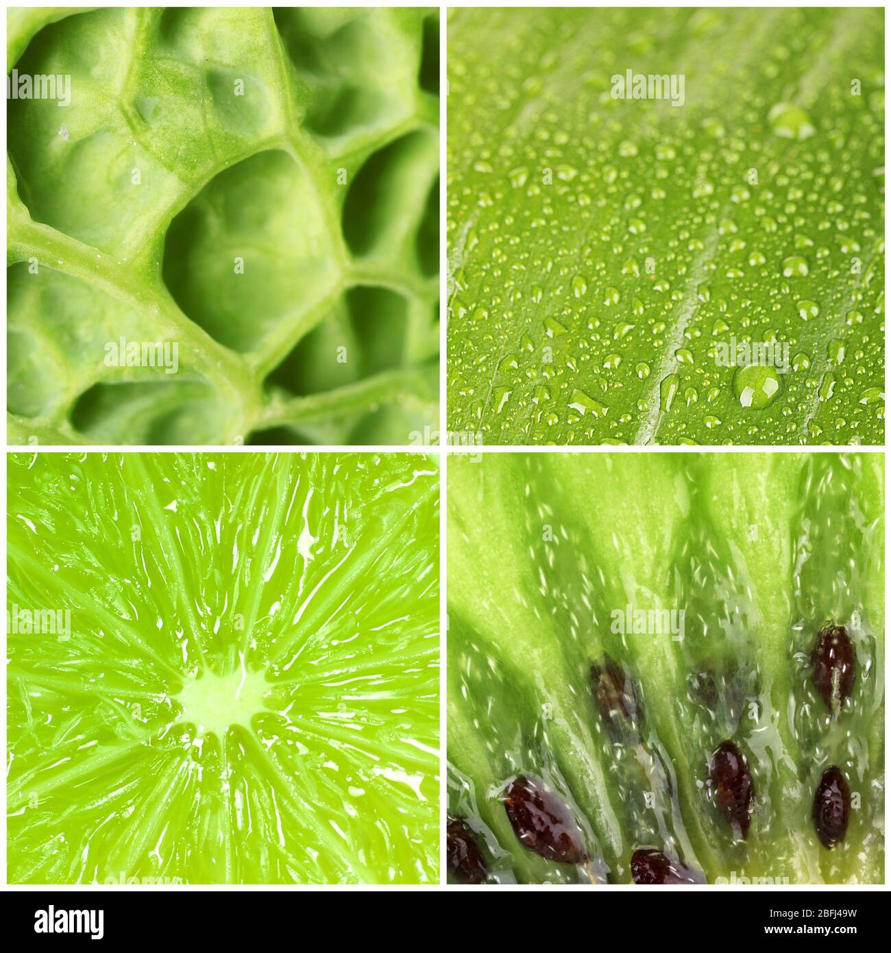 Green color samples collage Stock Photo - Alamy