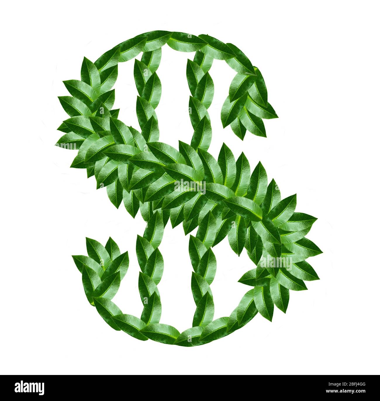 Dollar sign made of tree leaves isolated on white Stock Photo - Alamy