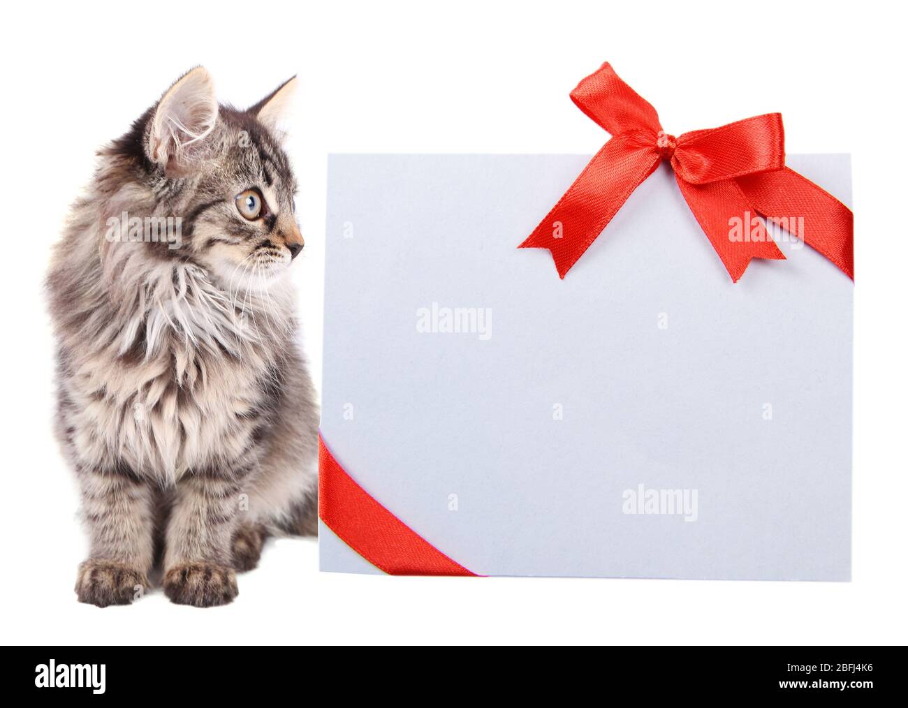 Greeting card love cat Cut Out Stock Images & Pictures - Alamy