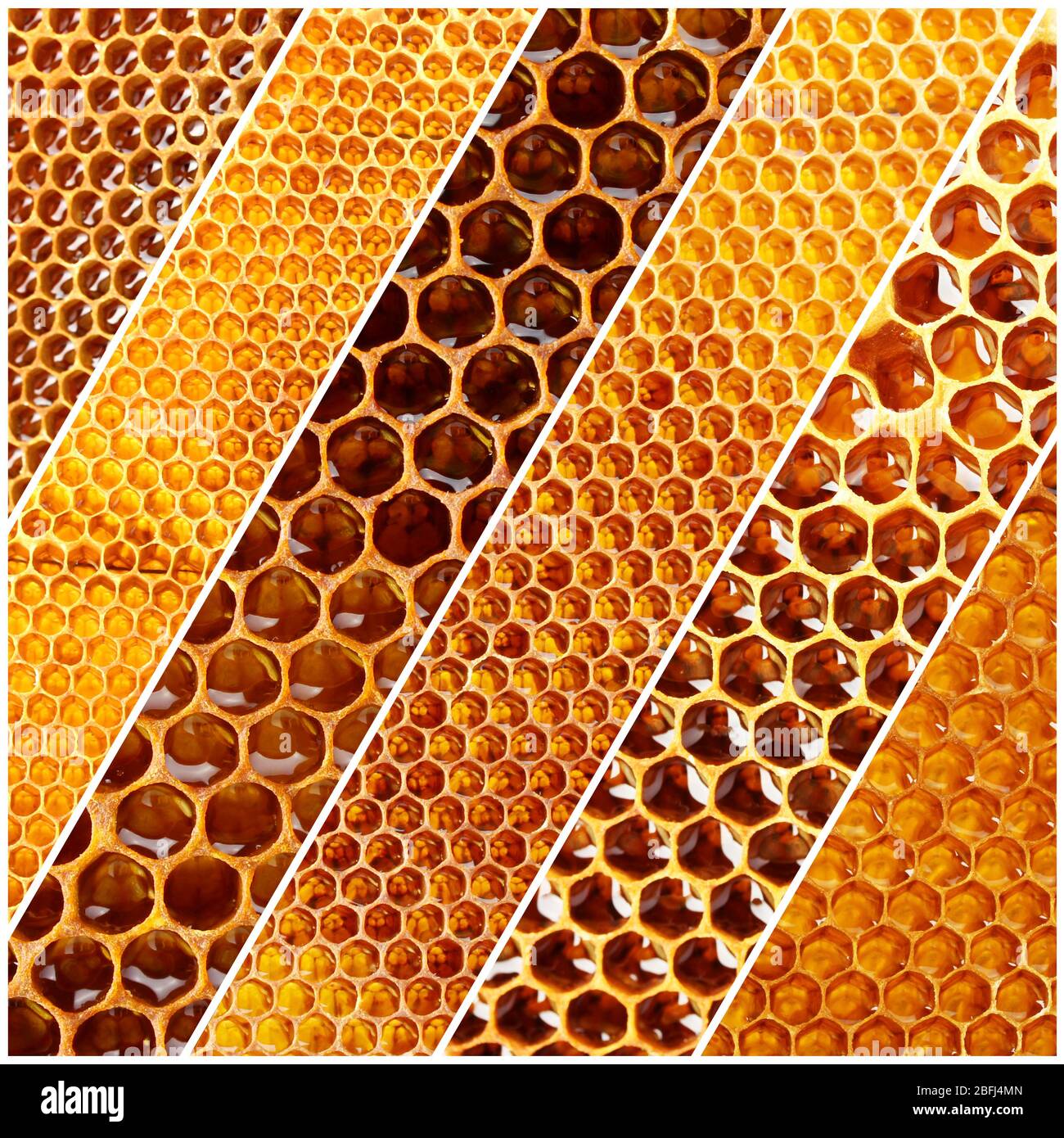 Honeycomb work Cut Out Stock Images & Pictures - Alamy