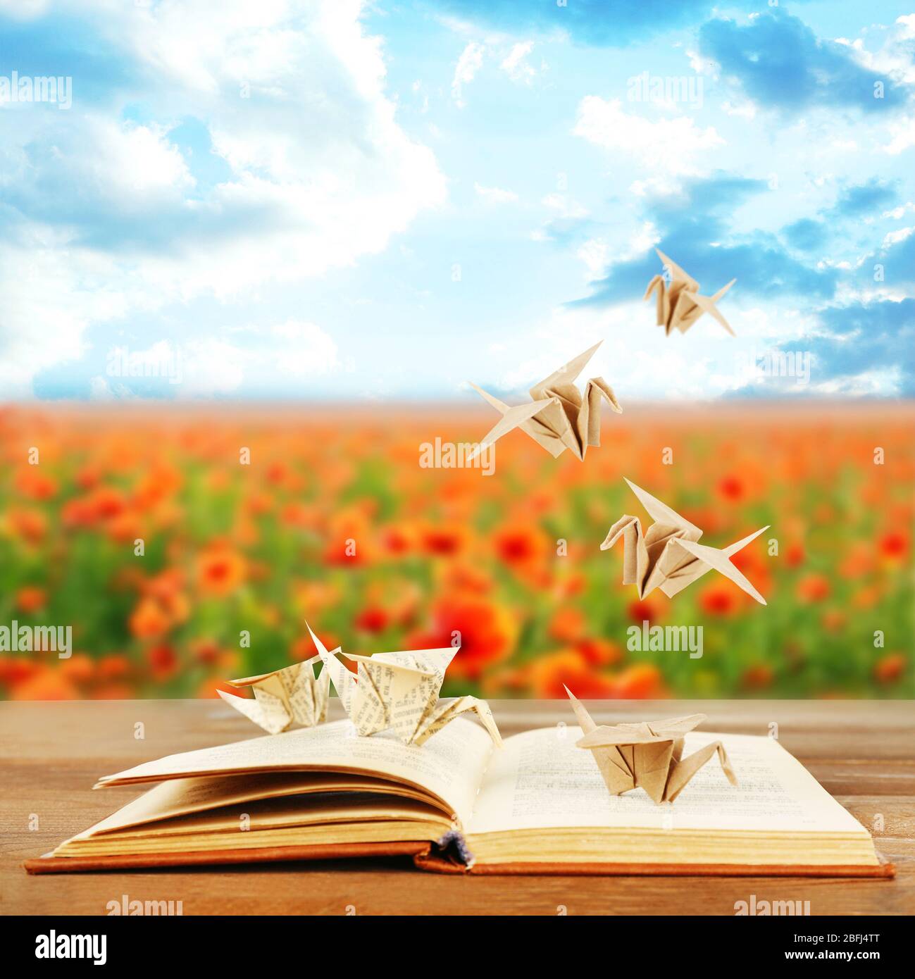 Origami crane book hi-res stock photography and images - Alamy