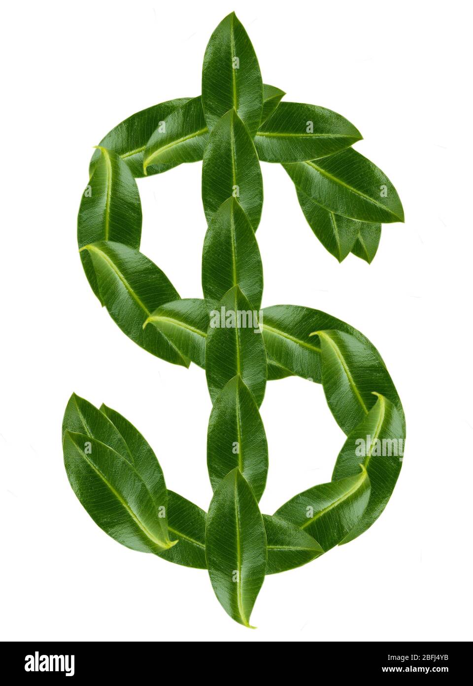 Dollar sign made of green leaves isolated on white Stock Photo - Alamy