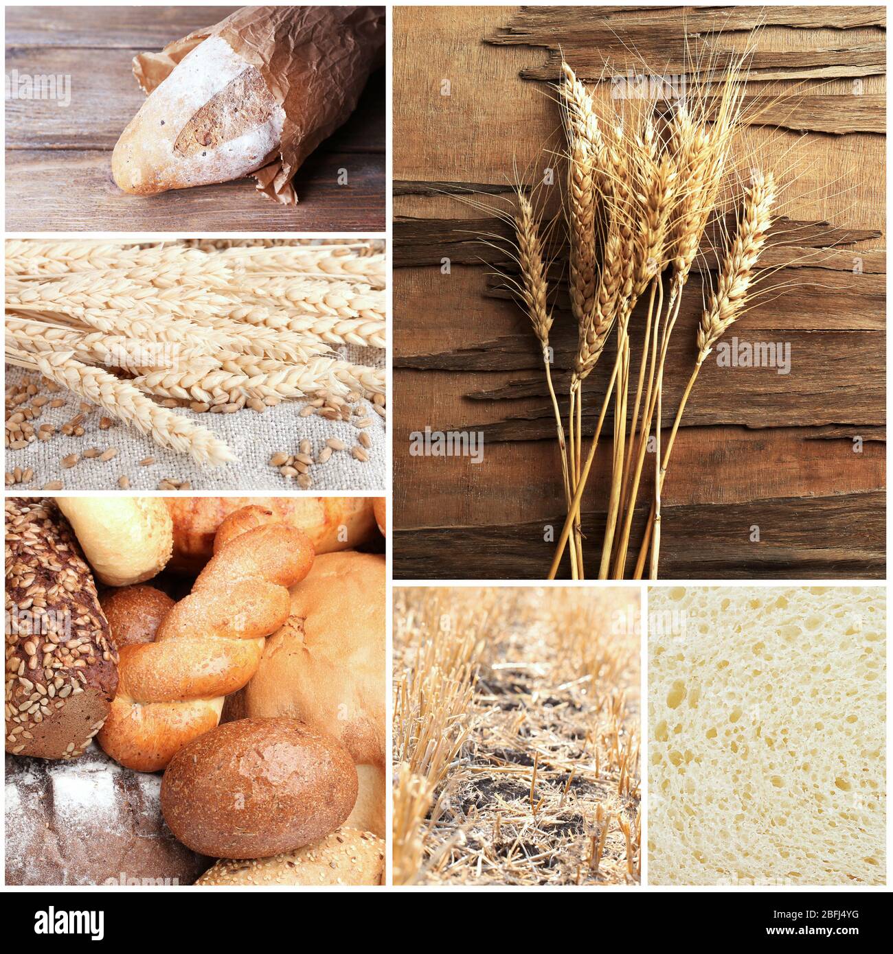 Wheat and bread collage Stock Photo - Alamy