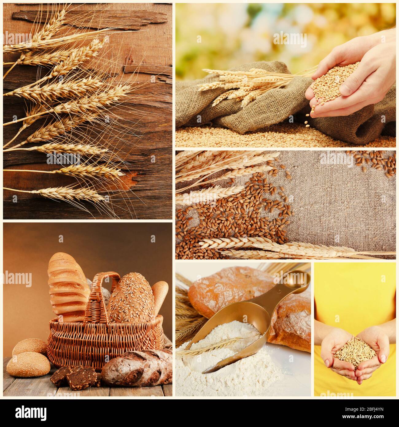 Wheat and bread collage Stock Photo - Alamy