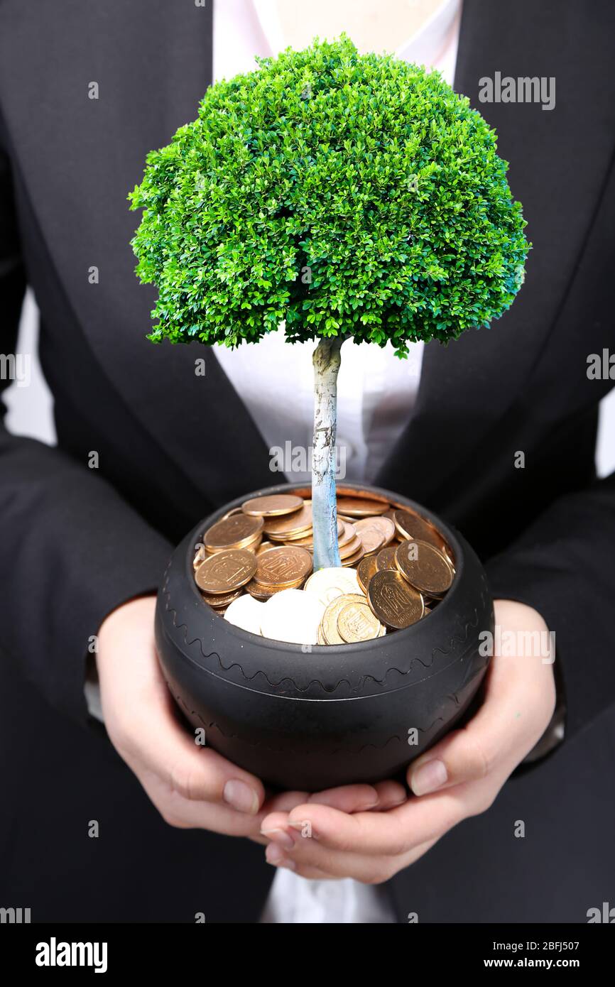Green tree growing in ceramic pot full of coins, pot in hands Stock ...