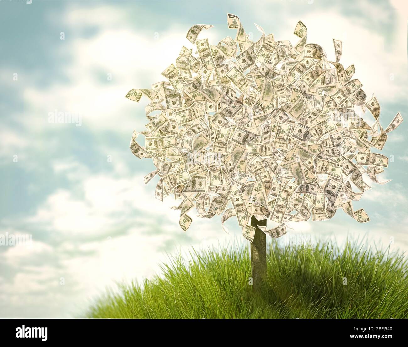 Money tree on natural background Stock Photo - Alamy
