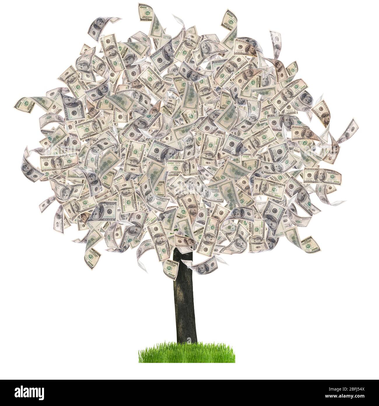 Money tree isolated on white Stock Photo - Alamy