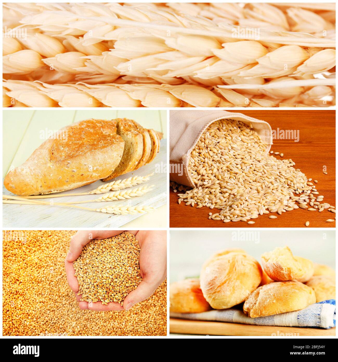 Wheat and bread collage Stock Photo - Alamy