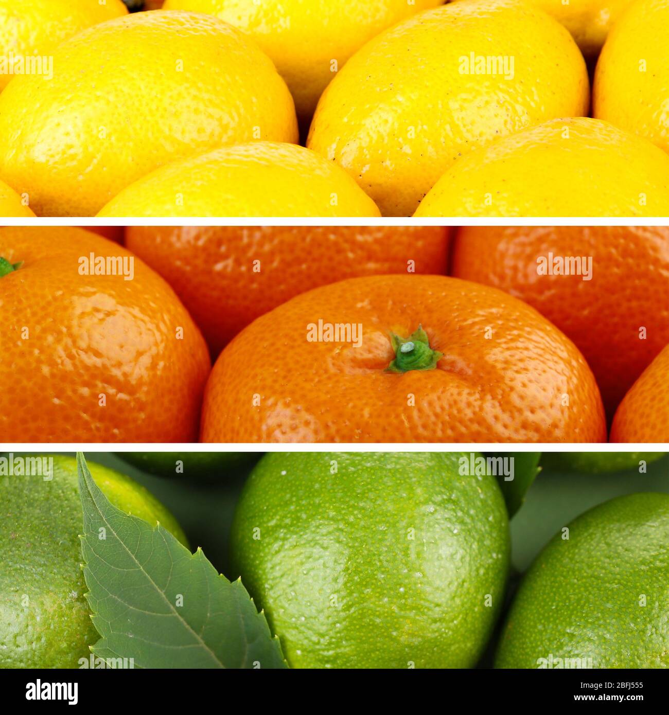 Citrus fruits in colorful collage Stock Photo - Alamy
