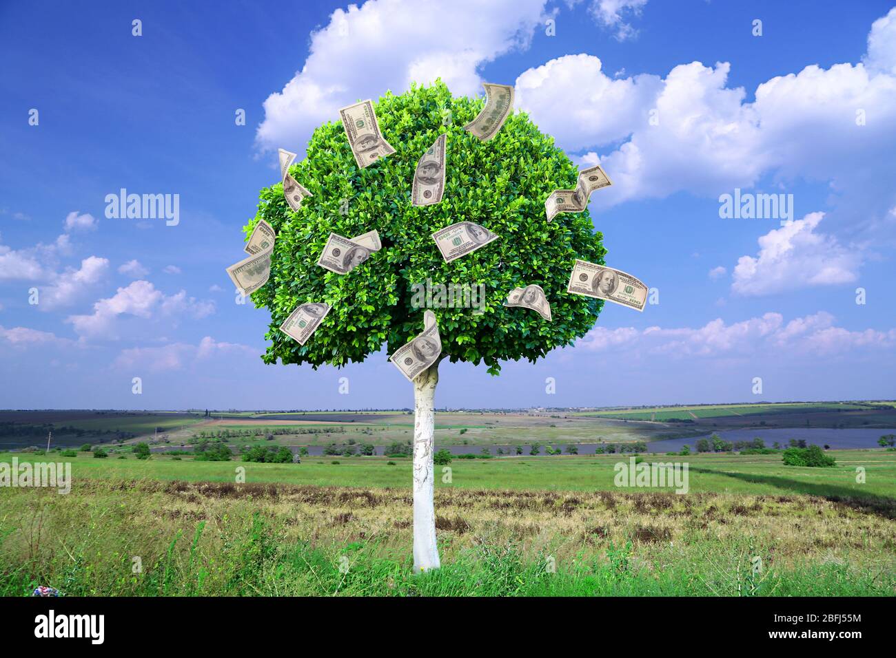 Oxygen debt hi-res stock photography and images - Alamy