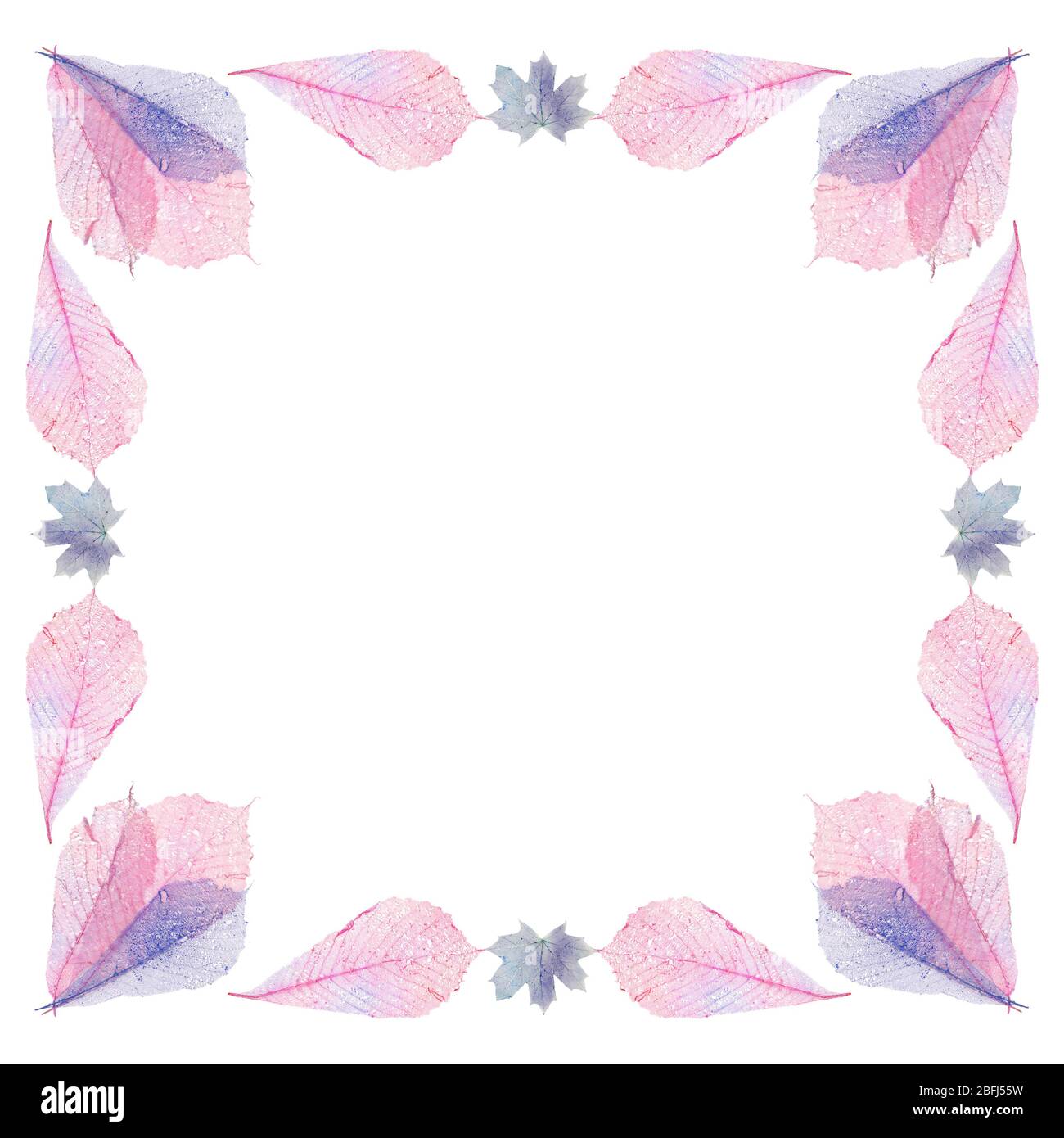 Life text concept colored Cut Out Stock Images & Pictures - Alamy