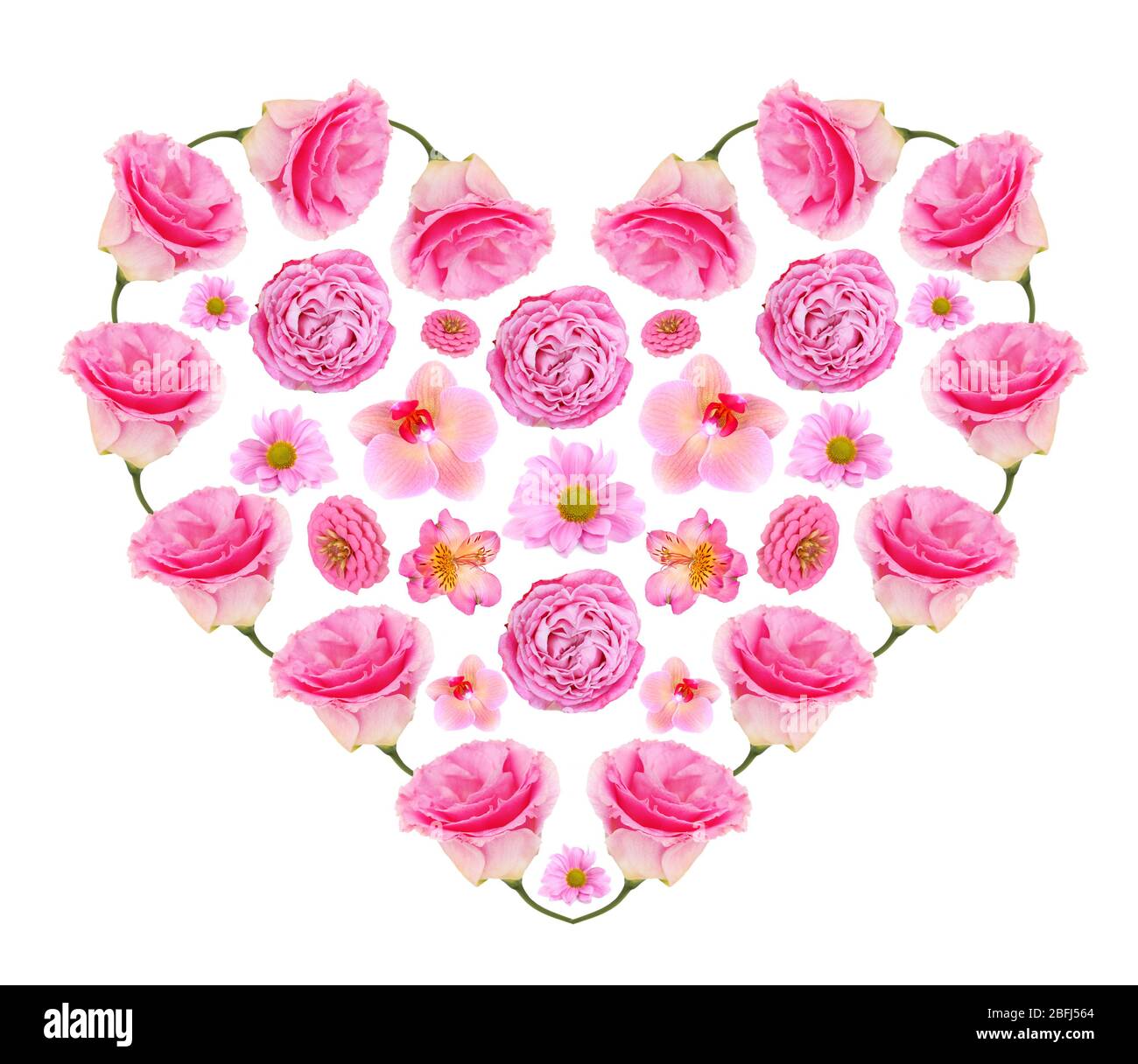 Beautiful flowers in shape of heart isolated on white Stock Photo - Alamy