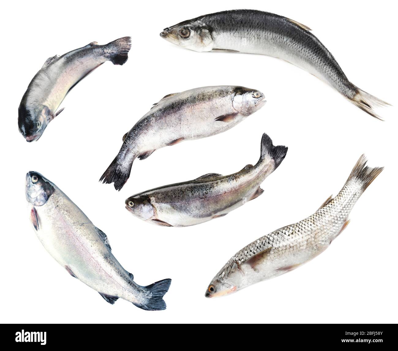 Fresh fish isolated on white Stock Photo - Alamy