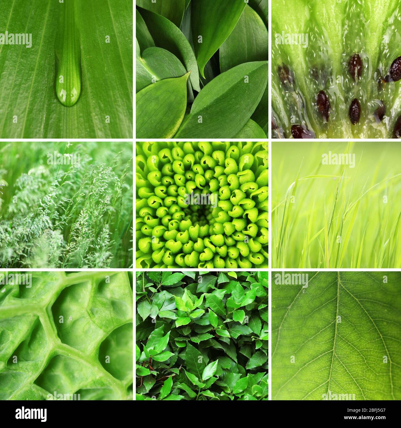 Green color samples collage Stock Photo - Alamy