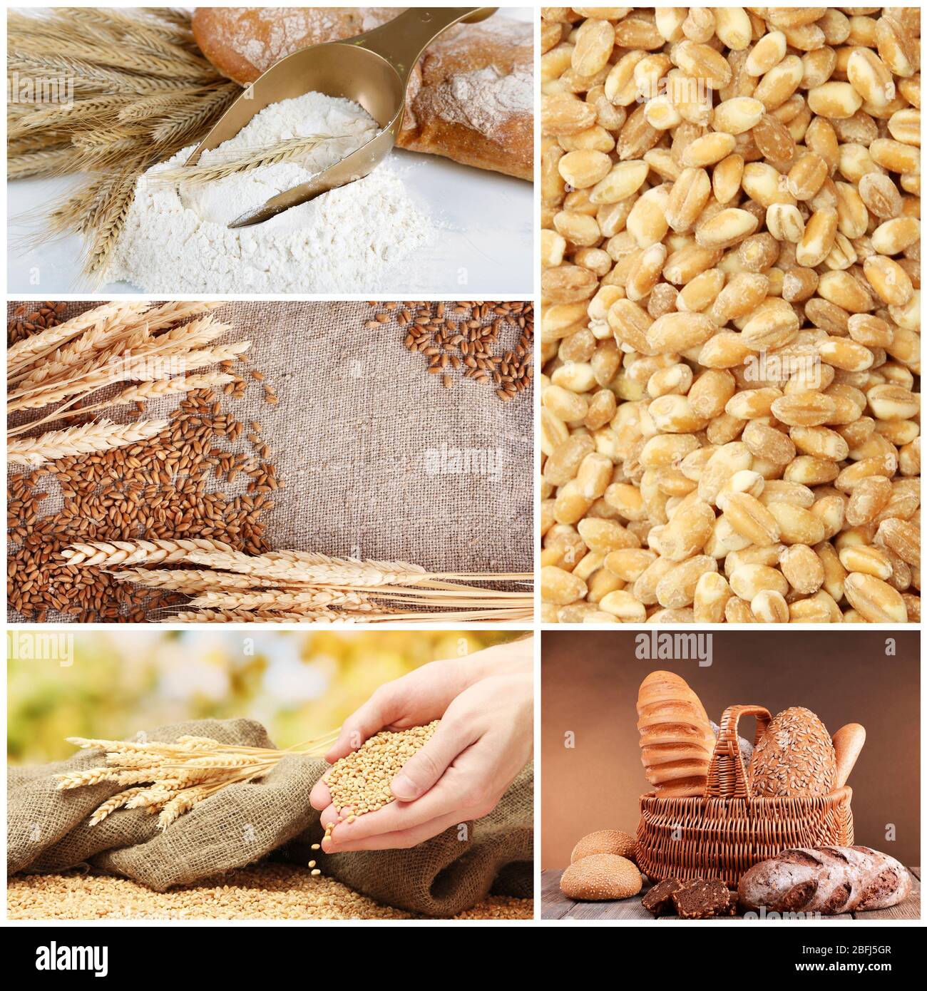 Wheat and bread collage Stock Photo - Alamy