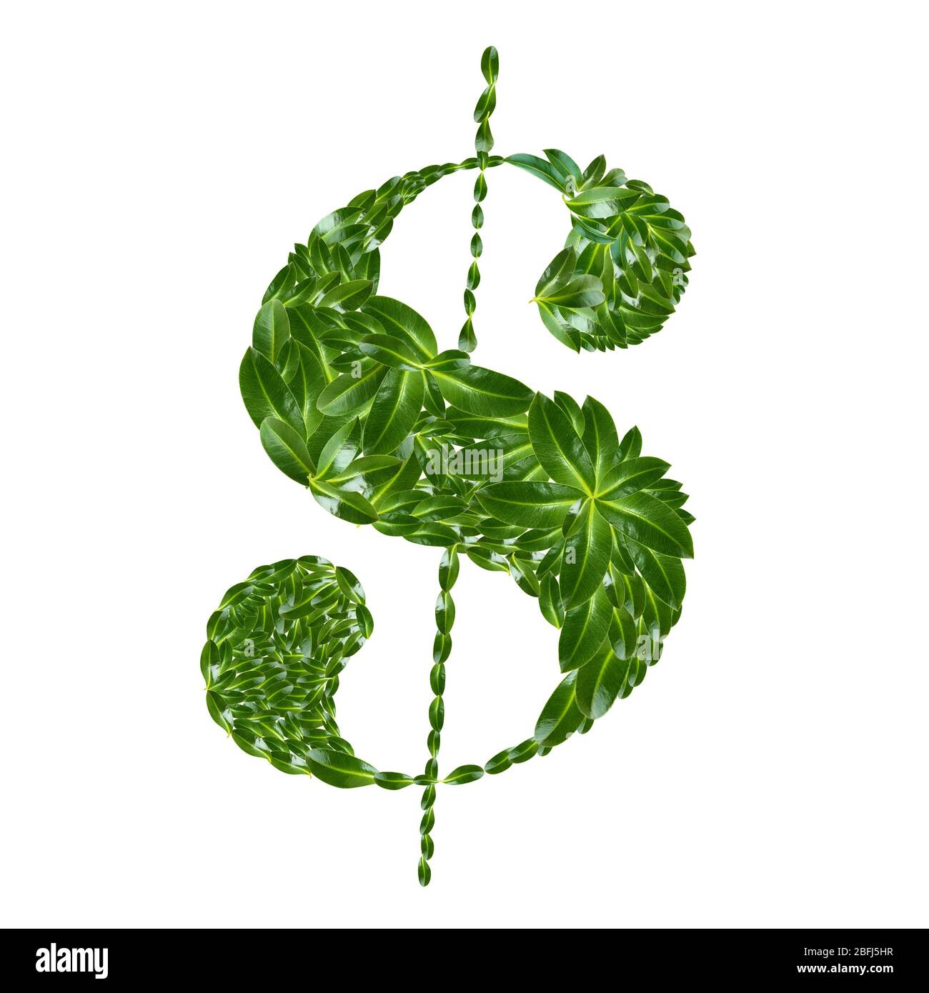 Dollar sign made of tree leaves isolated on white Stock Photo - Alamy