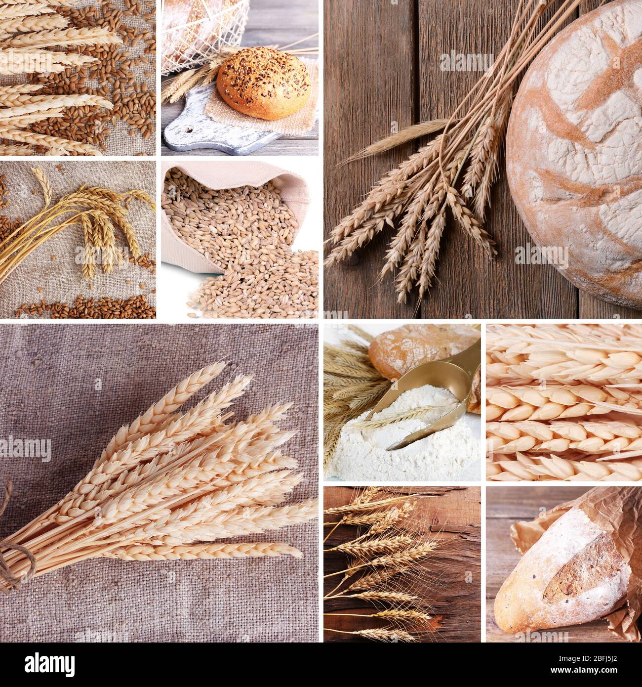Wheat and bread collage Stock Photo - Alamy